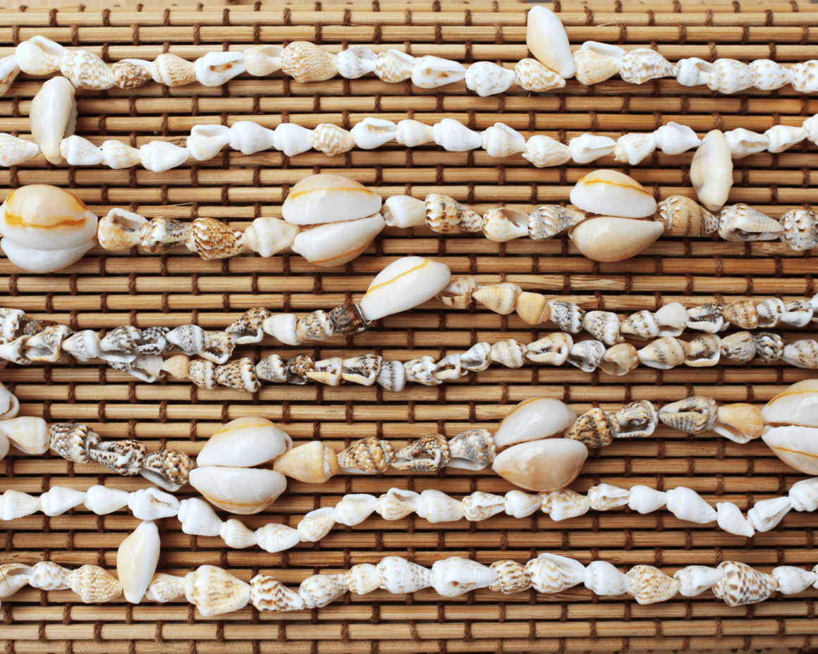 The Luxury of Cowries in Nature and the Art of Art - FAB L'Style